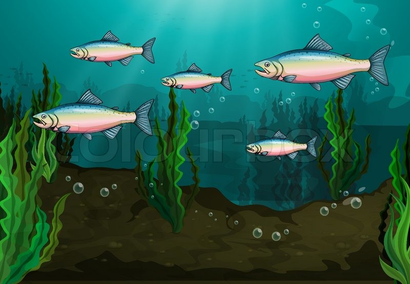A school of fish | Stock vector | Colourbox