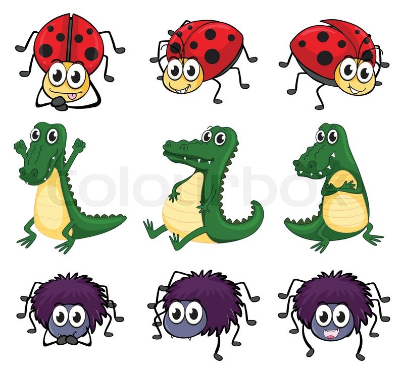 A spider, a ladybug and a crocodile | Stock vector | Colourbox