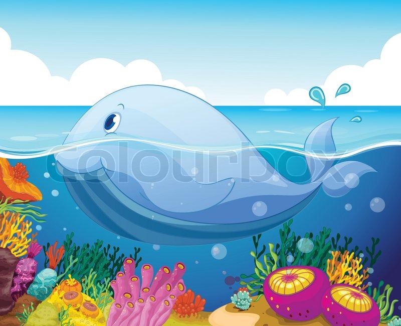 Fisk og koraller i havet | Stock vektor | Colourbox