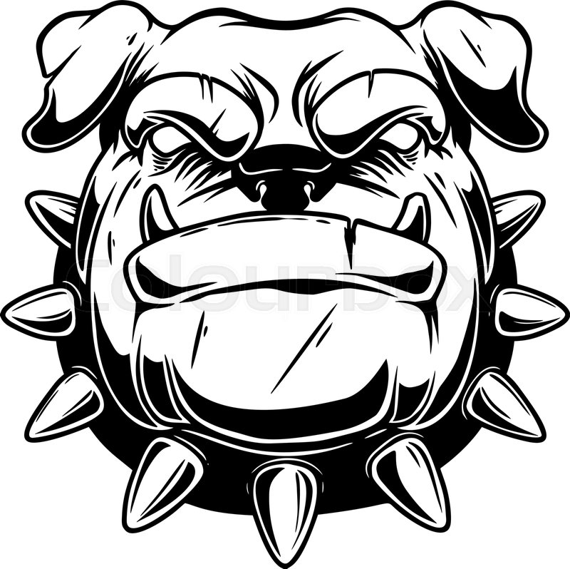 Boxer Dog Head Drawing