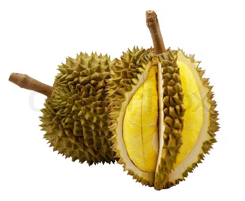 Durian isolated | Stock image | Colourbox