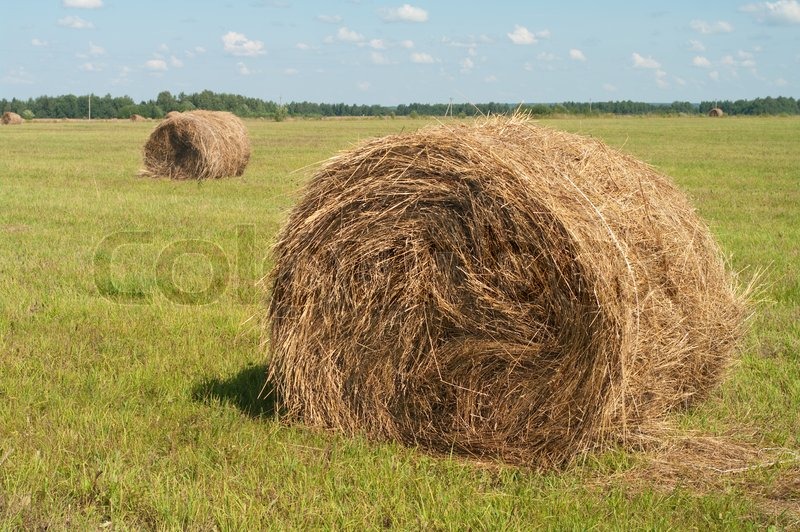 Haystack | Stock image | Colourbox