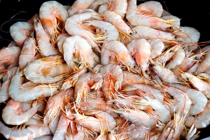 The Raw of shrimps | Stock image | Colourbox