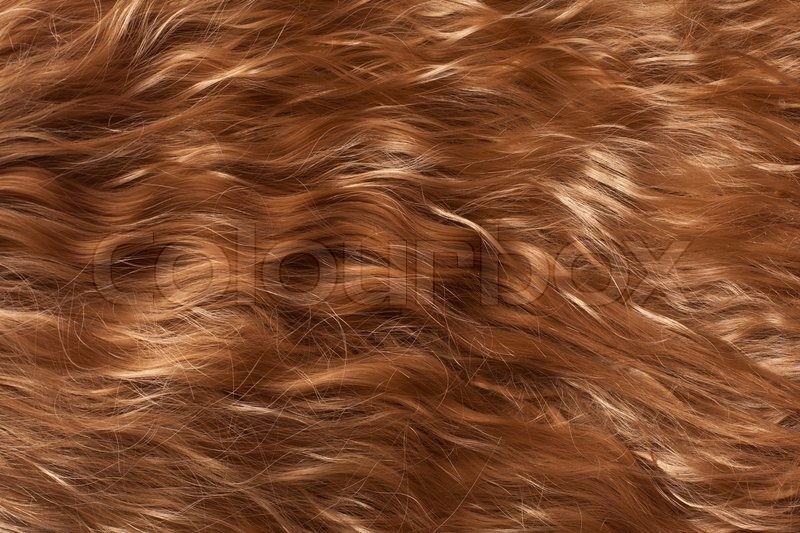 Hair Texture | Stock image | Colourbox