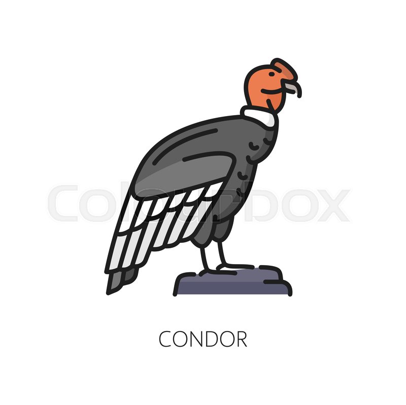 Andean Condor Cartoon