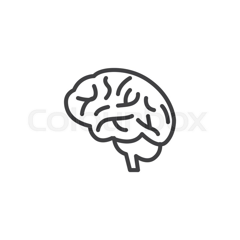 Simple Brain Sketch