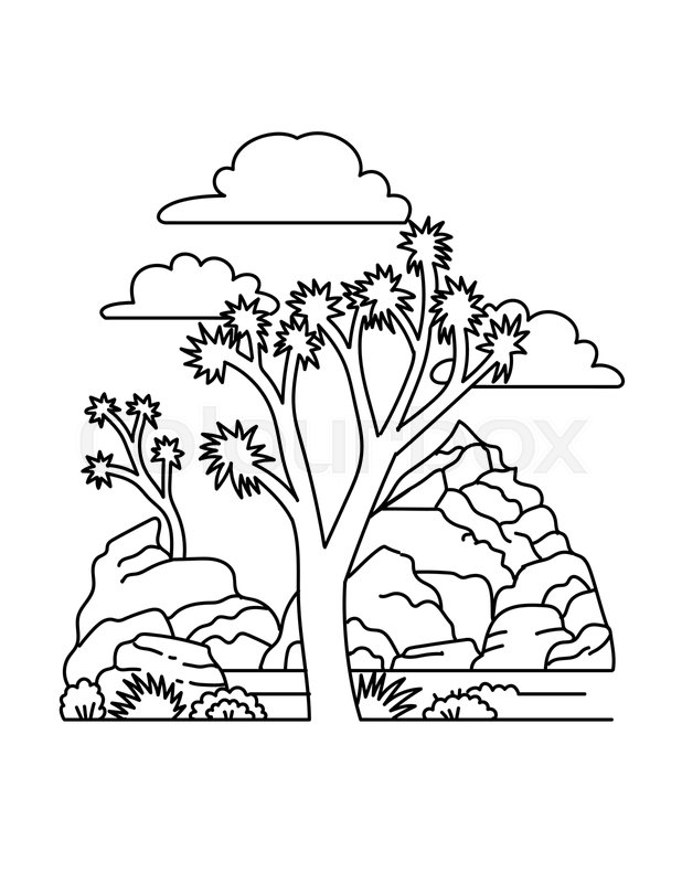 California State Tree Coloring Page