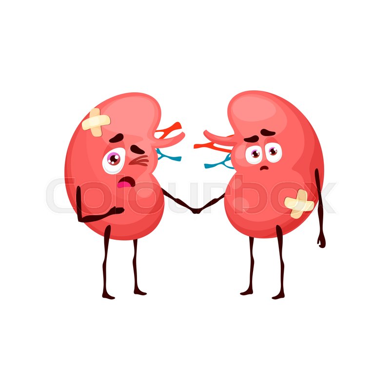 Sick Kidney Clipart