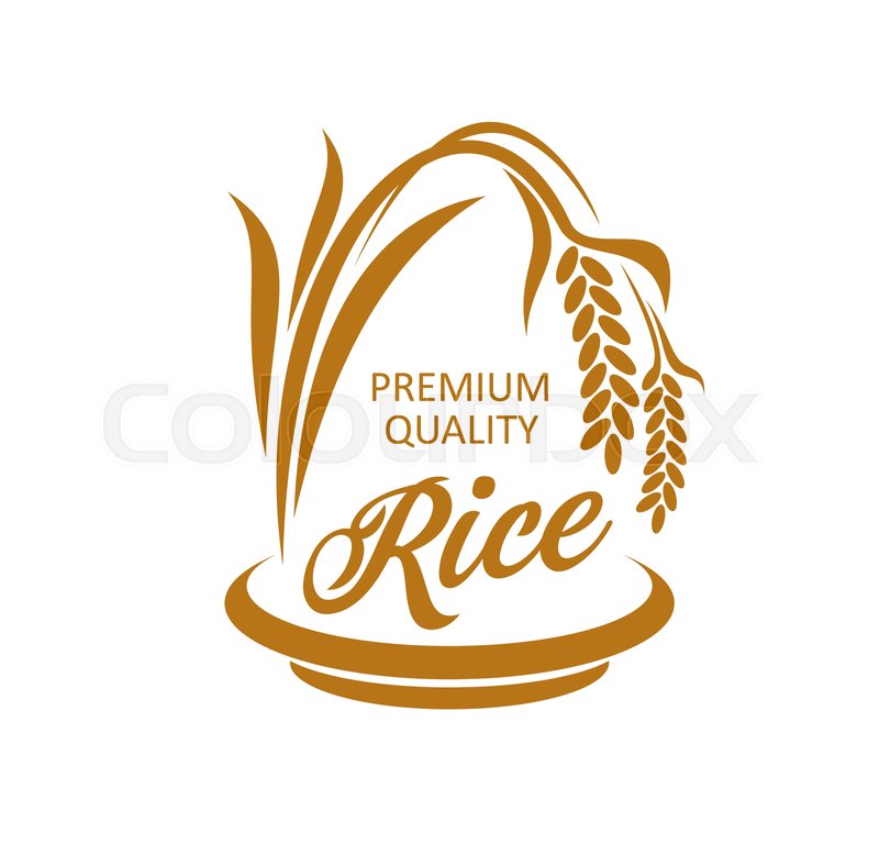 Rice Logo Vector