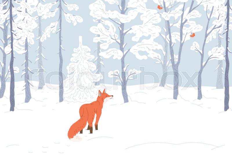 Winter Forest Vector