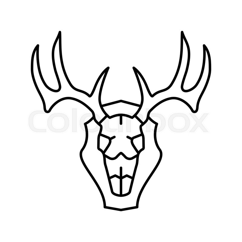 Buck Skull Outline