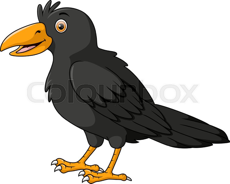 Crow Cartoon