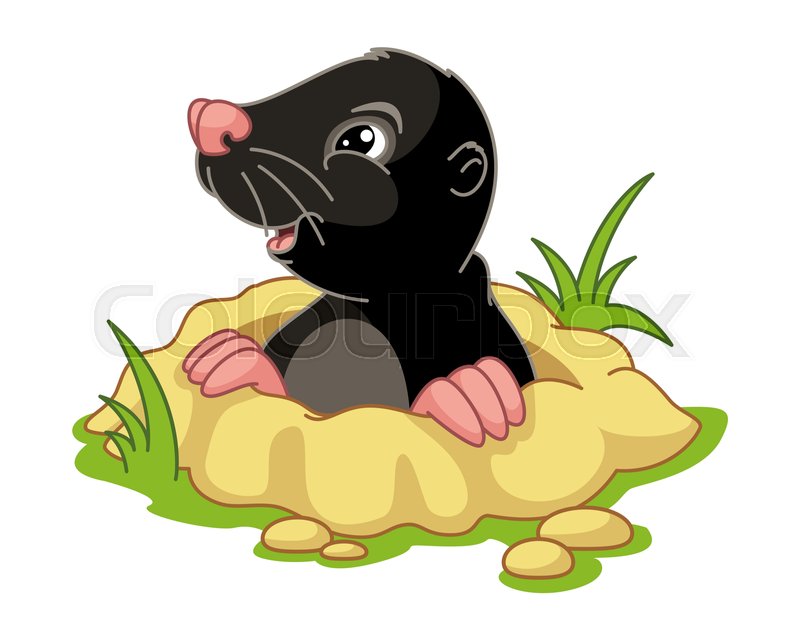 Cartoon Mole