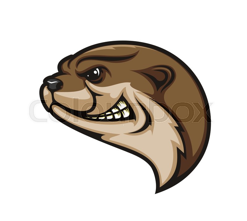 Otter Face Vector