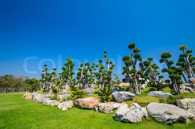 Baum | Stock Bild | Colourbox