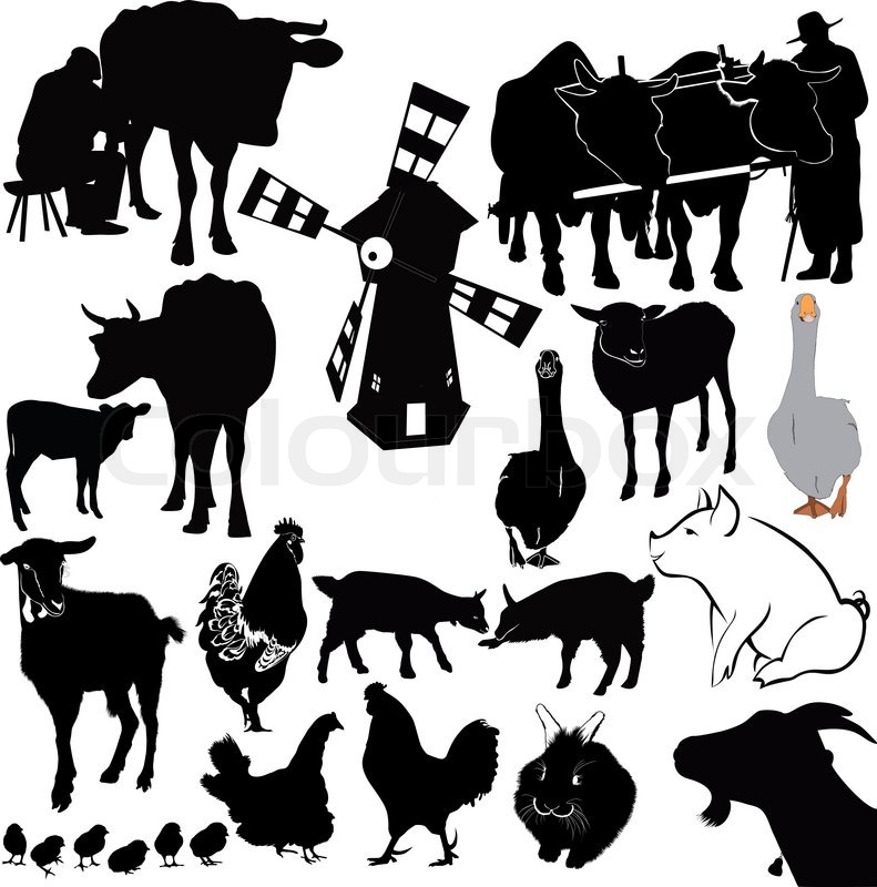 Farm livestock farming vector | Stock vector | Colourbox