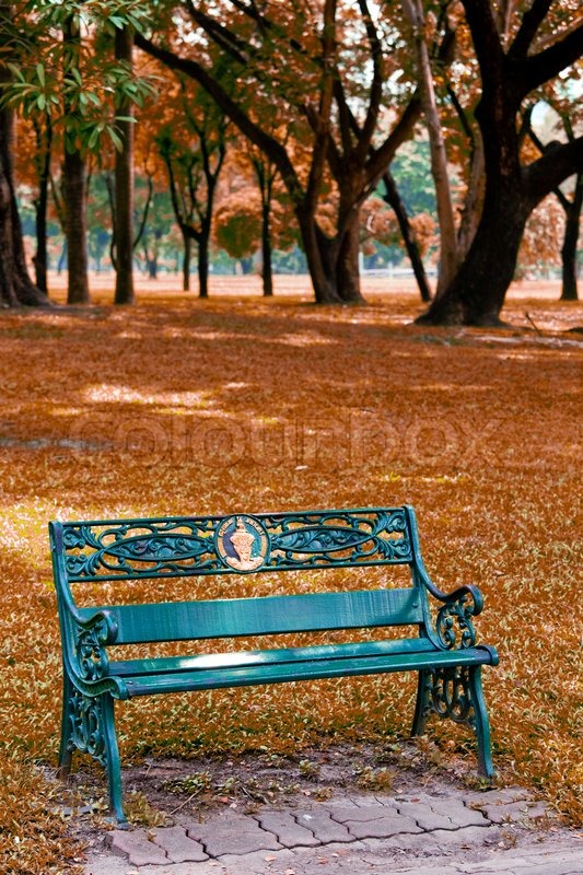 Bench in the park | Stock image | Colourbox