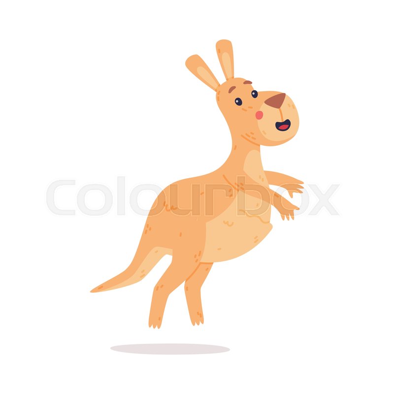 Funny Kangaroo