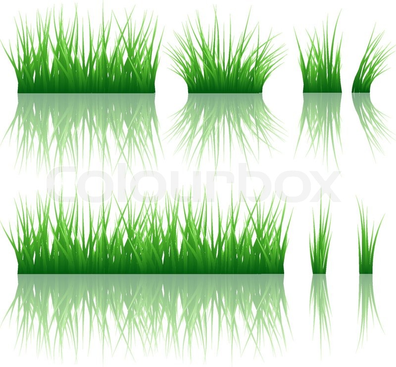 Græs | Stock vektor | Colourbox