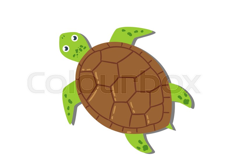 Sea Turtle Top View Clipart