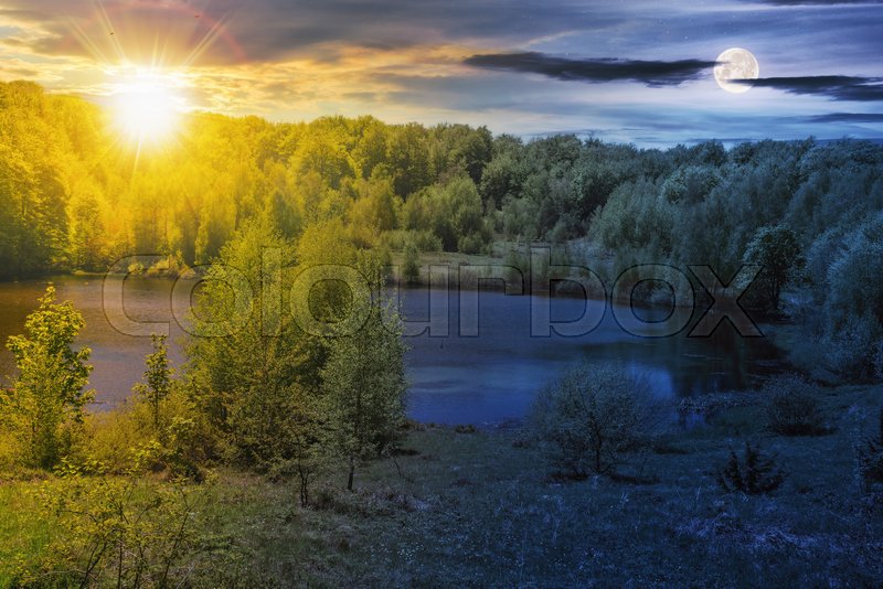 Night Time Nature Scene