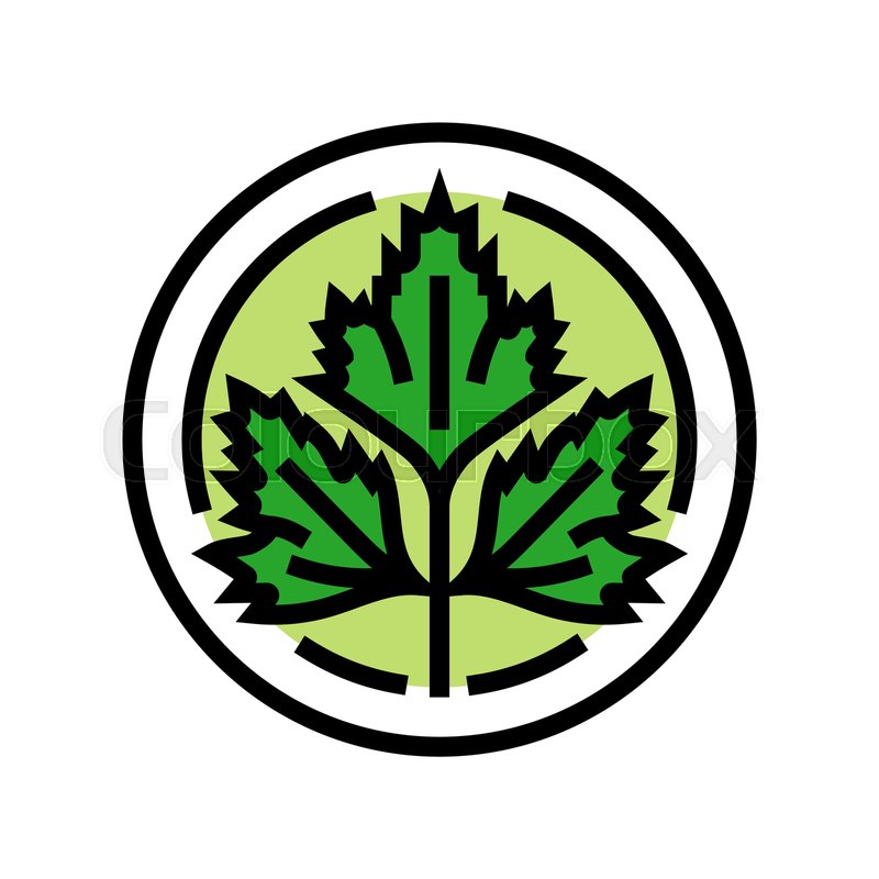 Cilantro Logo
