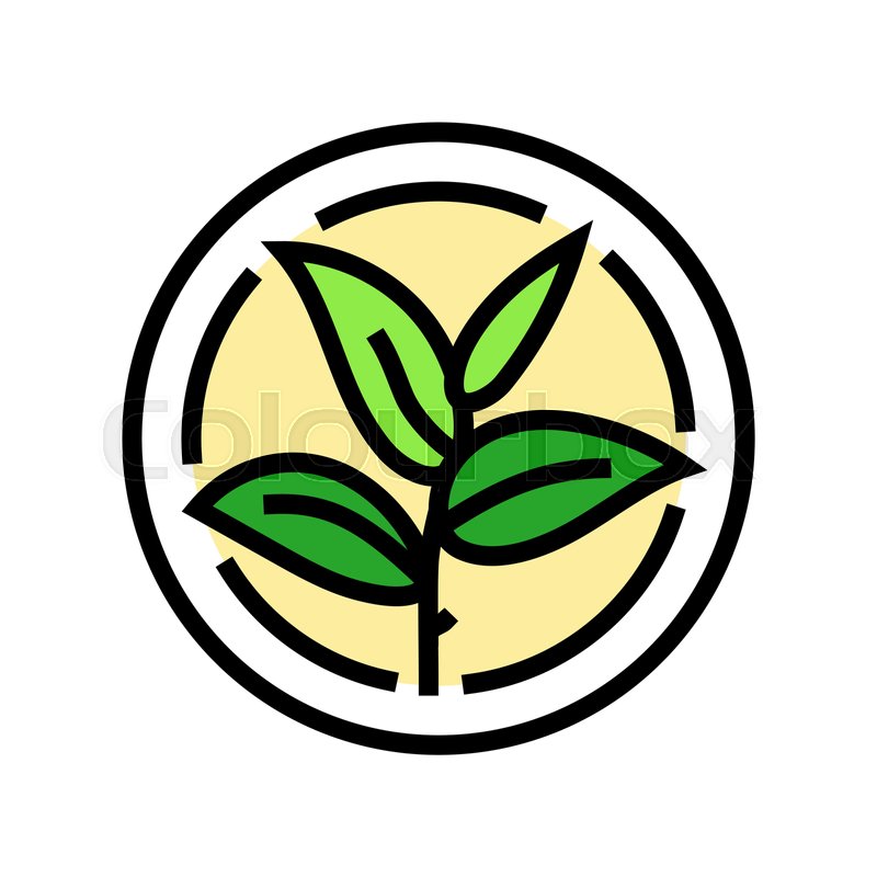 Tea Leaf Icon Png