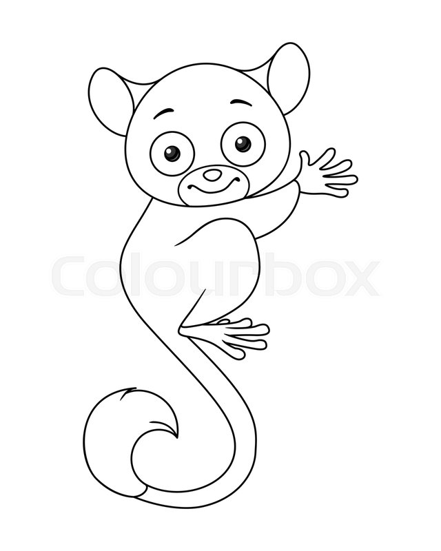 Cute Tarsier Drawing
