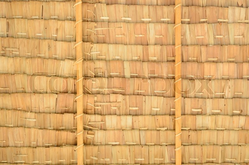 Nipa Palm ceiling wall background | Stock image | Colourbox