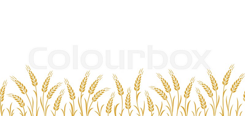 Wheat Stalks Vector