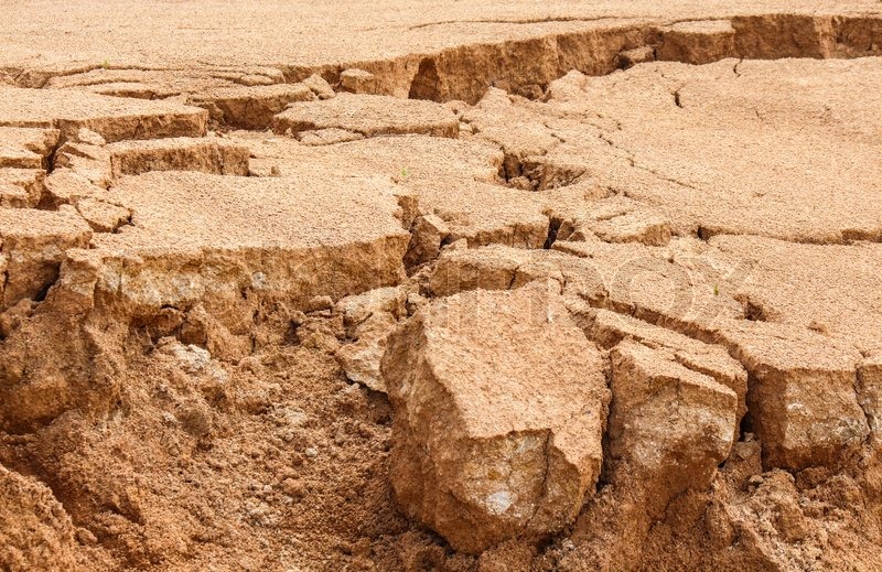 Cracked of ground in sunny day | Stock image | Colourbox