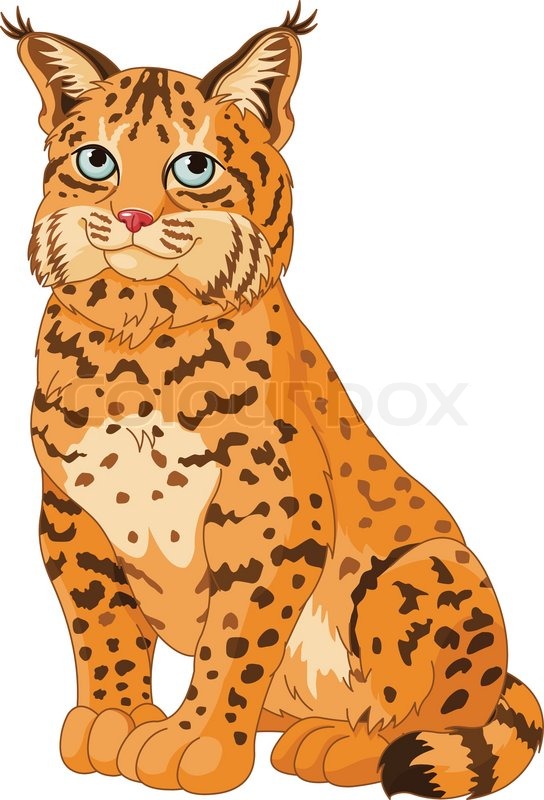 Luchs | Stock-Vektor | Colourbox