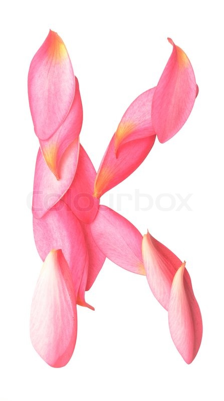Letter K made from beauty flower petals ... | Stock image | Colourbox