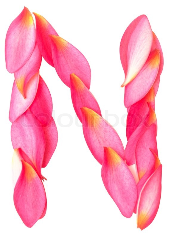 Bogstavet N | Stock foto | Colourbox