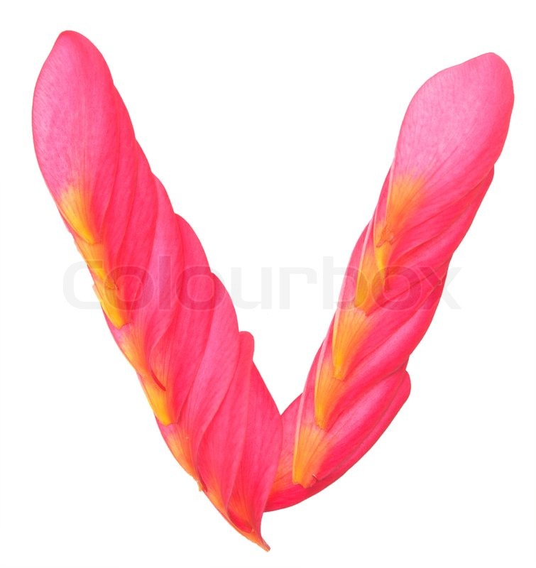 Buchstabe V | Stock Bild | Colourbox