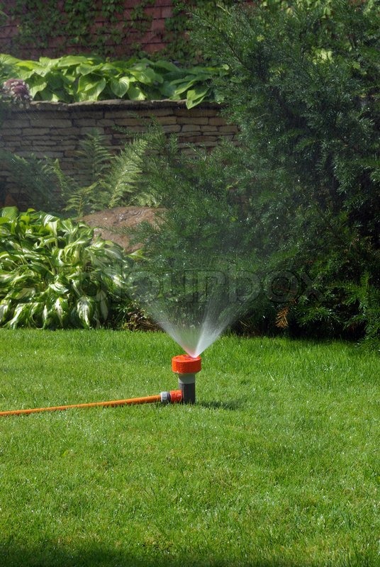 Yellow sprinkler watering the backyard ... | Stock image | Colourbox