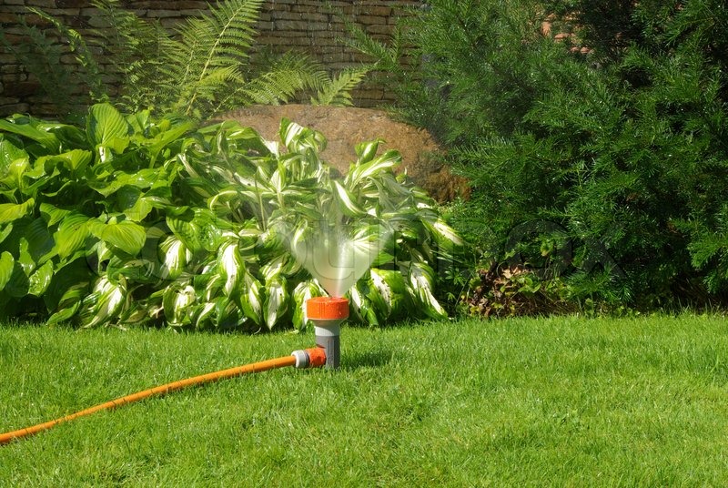 Yellow Garden Sprinkler