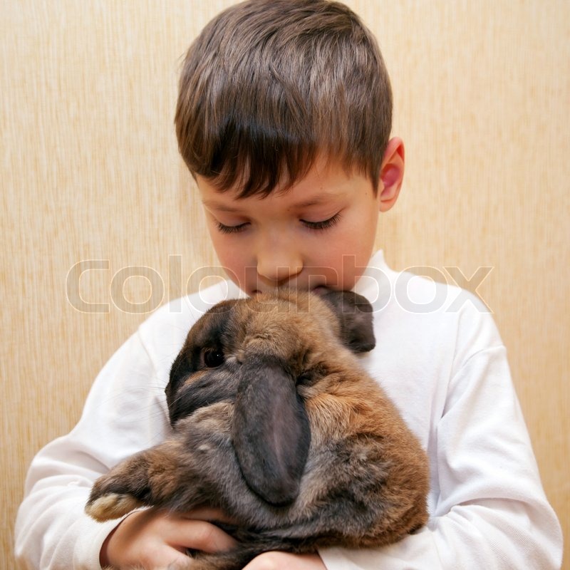 Boy hugging and kissing rabbit | Stock Photo | Colourbox