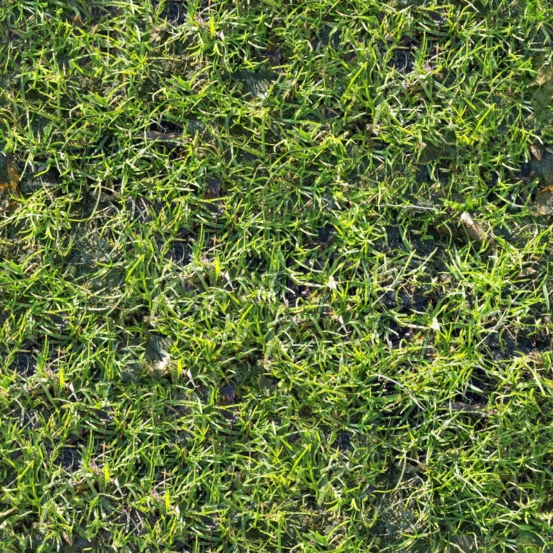 Grass Tileable