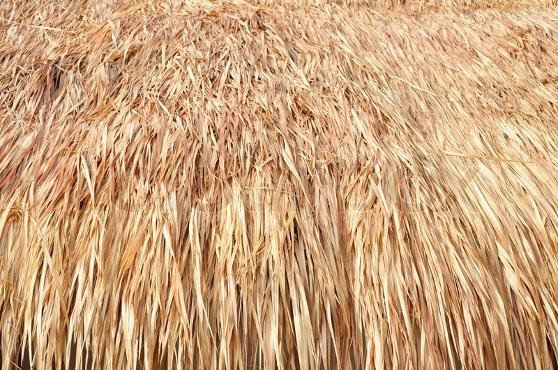 Strohdach | Stock Bild | Colourbox