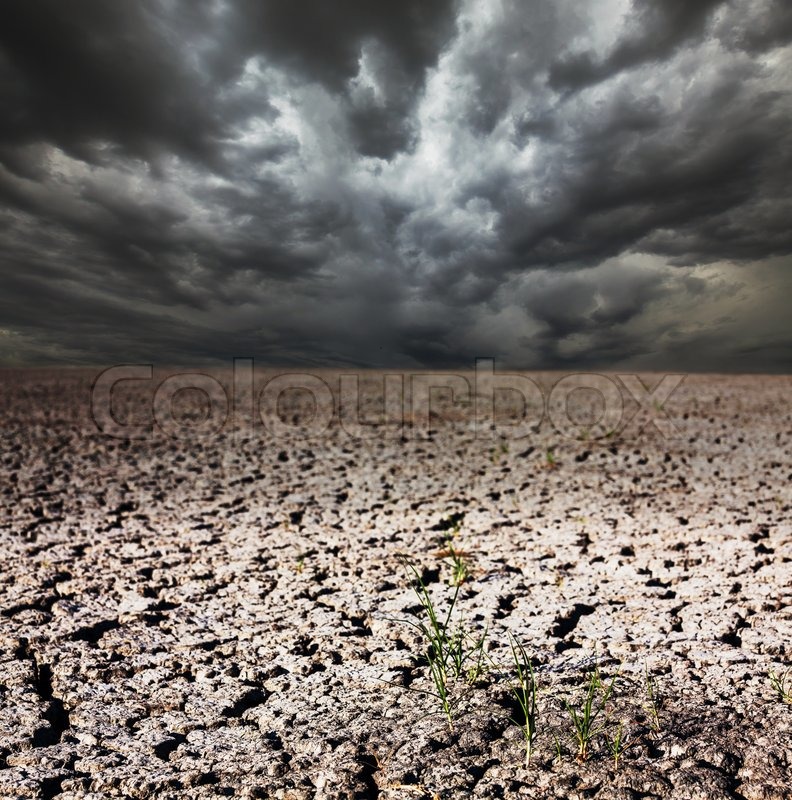 Drought land | Stock image | Colourbox