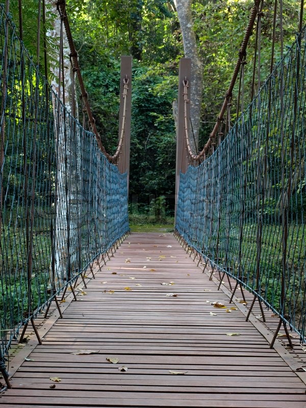 Rope bridge in the forest. | Stock image | Colourbox