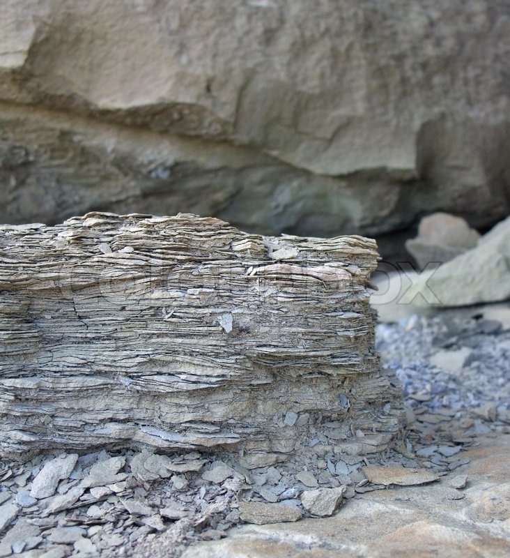Closeup of a brittle stone in stony ... | Stock Photo | Colourbox