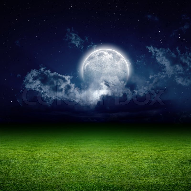 Night view of green grass field. Dark ... | Stock image | Colourbox