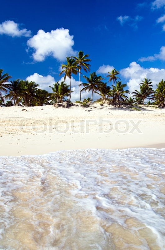 Strand | Stock Bild | Colourbox