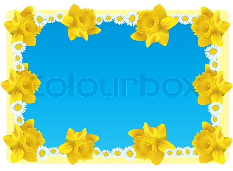 DAFFODIL FRAME | Stock vector | Colourbox