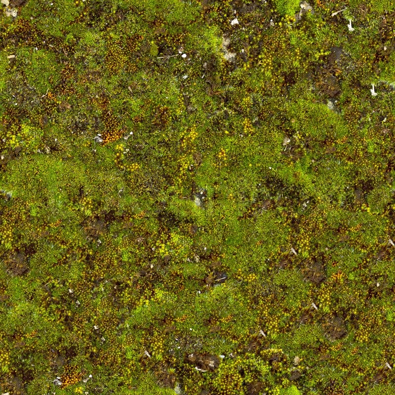 Green Moss. Seamless Tileable Texture. | Stock image | Colourbox