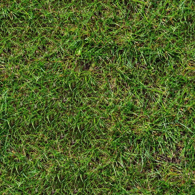 Seamless Golf Grass Texture
