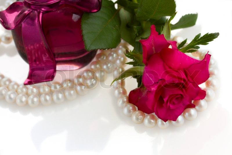 Pink rose with pearl necklace and ... | Stock image | Colourbox