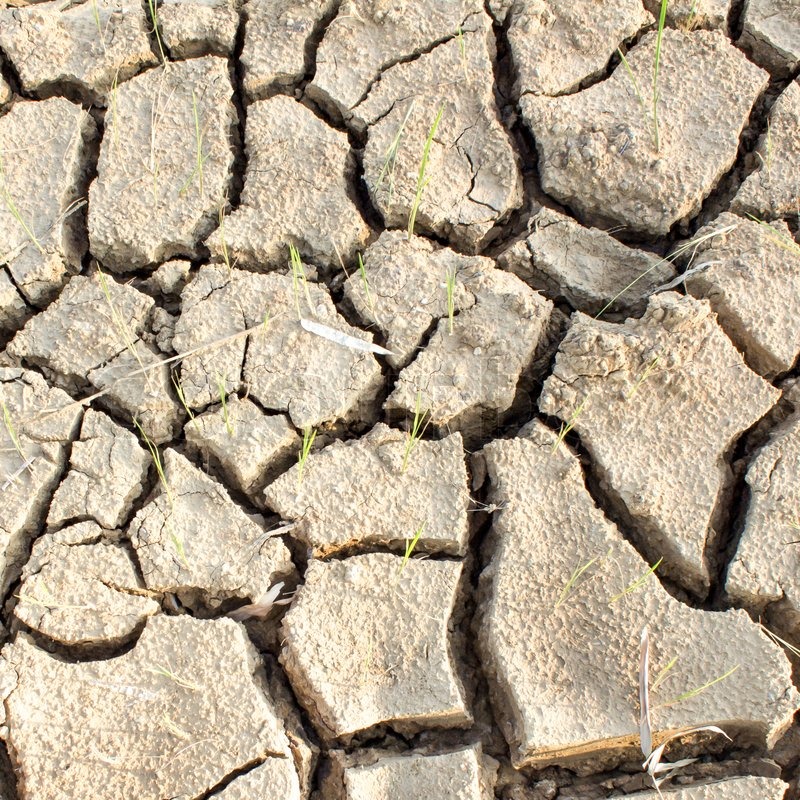 Cracked Ground Background | Stock image | Colourbox